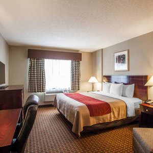 HILTON EAST BRUNSWICK HOTEL & EXECUTIVE MEETING CENTER - 161 Photos ...