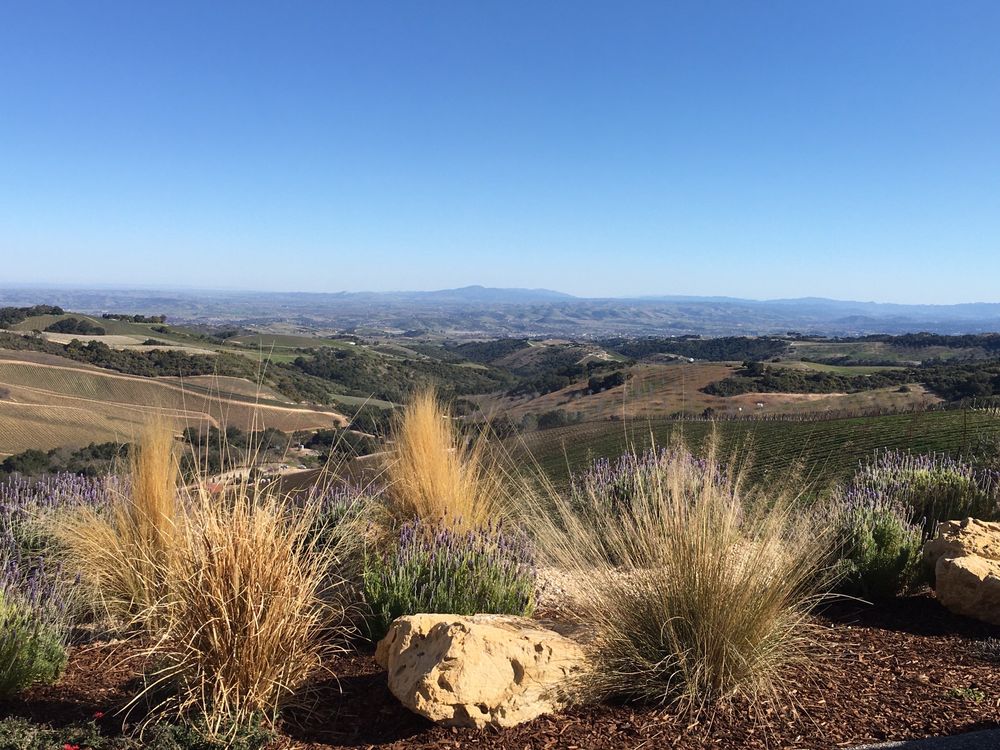 DAOU Vineyards - 1020 Photos & 640 Reviews - Wineries - 2777 Hidden ...