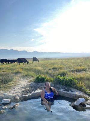 WILD WILLY’S HOT SPRING - Updated November 2024 - 336 Photos & 158 ...