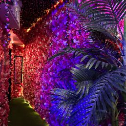 OCTOPUS KITCHEN - Updated December 2025 - 472 Photos & 289 Reviews ...