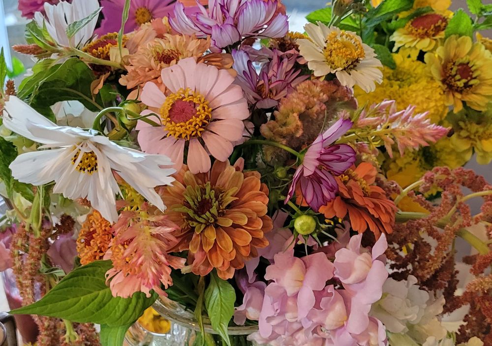 SISTERS FLOWER COMPANY - Updated September 2024 - Request Information ...