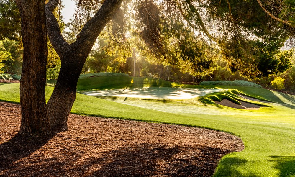 WYNN GOLF CLUB - 23 Photos & 10 Reviews - 3131 Las Vegas Blvd S, Las ...