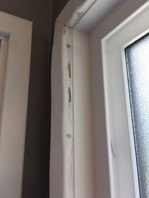 PACIFIC COAST TERMITE - Updated August 2024 - 29 Photos & 239 Reviews ...