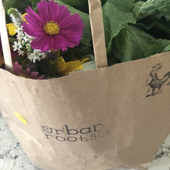 URBAN ROOTS - Updated September 2025 - 28 Photos & 14 Reviews - 1700 E ...