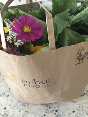 URBAN ROOTS - Updated July 2024 - 27 Photos & 12 Reviews - 1700 E 2nd ...