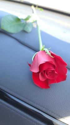 CALVARY LIFE - Updated February 2025 - 233 Photos & 62 Reviews - 19300 ...