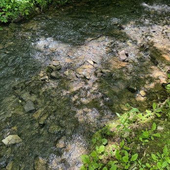 SAUNDERS SPRINGS NATURE PRESERVE - Updated December 2025 - 145 Photos ...