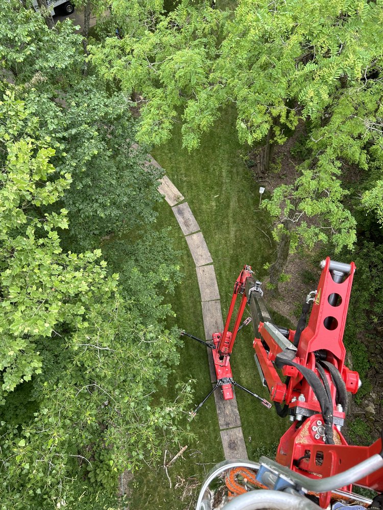 EDMONDS TREE & LANDSCAPE SERVICE - Updated September 2025 - 13 Photos ...