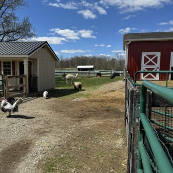 PARKY’S FARM - Updated December 2025 - 20 Photos - 10037 Daly Rd ...