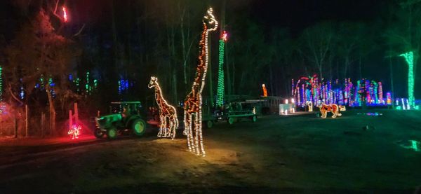 BEE CITY ZOO - Updated December 2025 - 419 Photos & 124 Reviews - 1066 ...