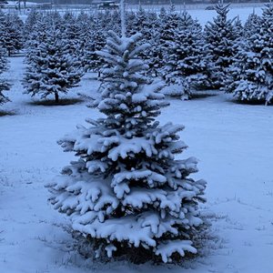 ELZY MILLING & TRADE - Updated July 2025 - 20 Photos - 25 E Ogle St ...