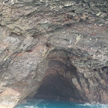 HOLO HOLO CHARTERS - Updated July 2024 - 936 Photos & 1035 Reviews - 4353 Waialo Rd, Eleele ...