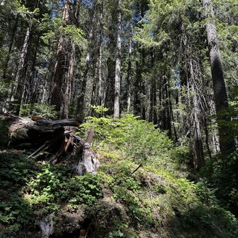 SLY PARK RESORT - Updated October 2025 - 42 Photos & 28 Reviews - 4782 ...