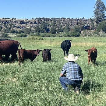 X DIAMOND RANCH - Updated October 2025 - 24 Photos & 16 Reviews - 300 ...