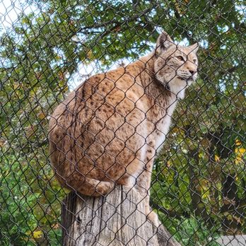 ERIE ZOO - Updated September 2025 - 186 Photos & 68 Reviews - 423 W ...