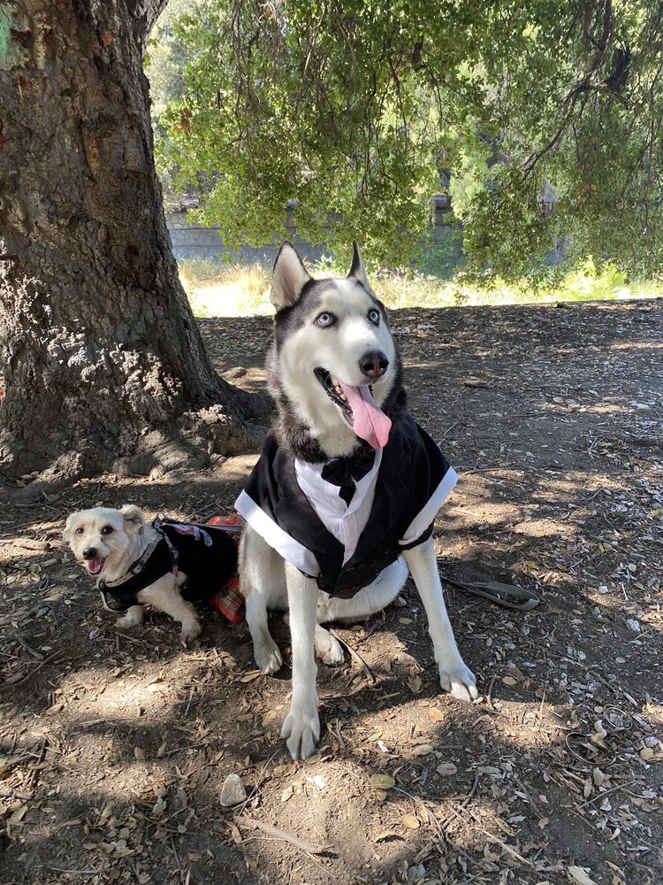 HART PARK - Updated May 2024 - 127 Photos & 63 Reviews - 701 S Glassell ...