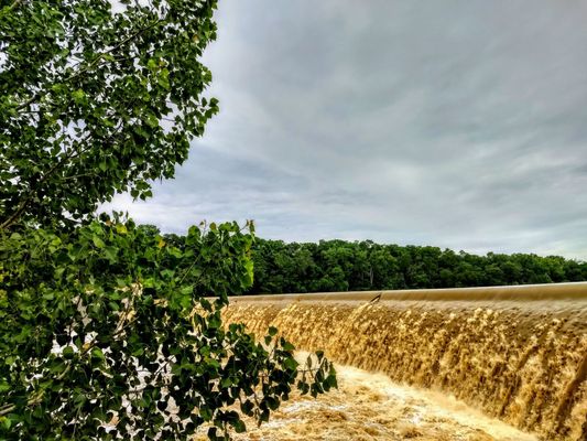 GRIGGS RESERVOIR PARK - 78 Photos & 26 Reviews - 2933 Riverside Dr ...