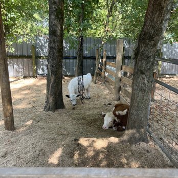 BJ REECE ORCHARDS - Updated October 2024 - 412 Photos & 179 Reviews ...