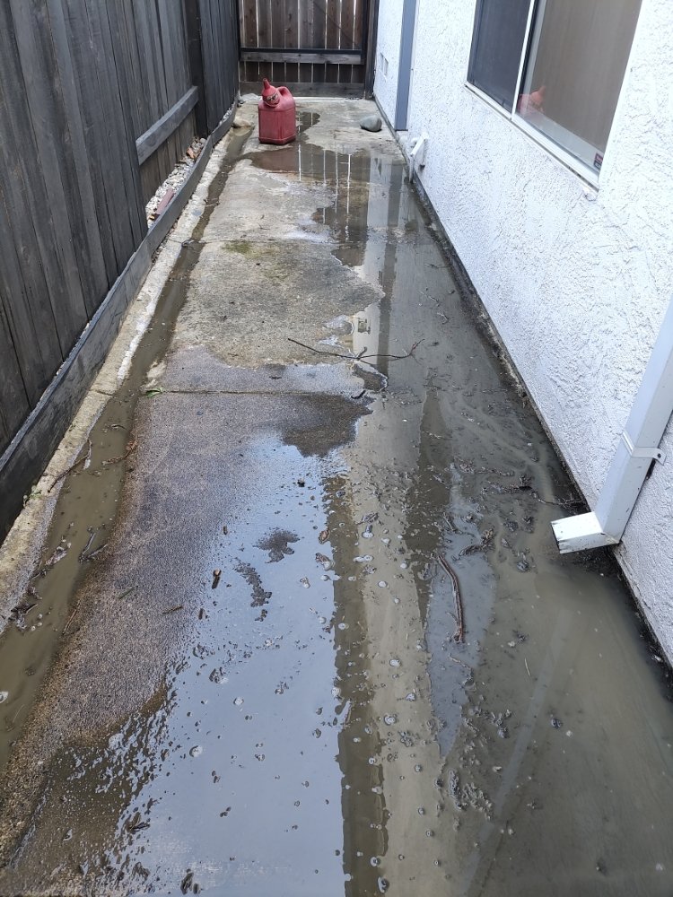 CLEAR GLASS WINDOW CLEANING - Updated August 2025 - 167 Photos & 111 ...