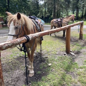 THE STILLWATER RANCH - Updated October 2024 - 14 Photos - Sultan ...