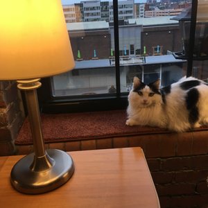 LARRY LINT FLOORING - Updated January 2026 - 17 Reviews - 221 Lint Ln ...