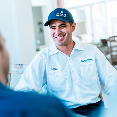 MOXIE PEST CONTROL - Updated September 2025 - 101 Photos & 468 Reviews ...