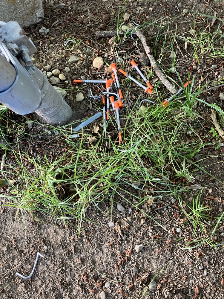 INTERURBAN TRAIL - Updated April 2026 - 144 Photos - Shoreline ...