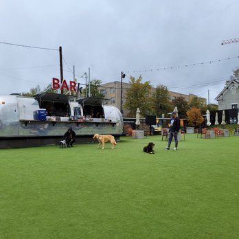 FETCH PARK - Updated October 2025 - 262 Photos & 195 Reviews - 520 ...