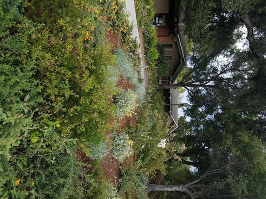 MENLO PARK LIBRARY - Updated October 2025 - 48 Photos & 72 Reviews ...