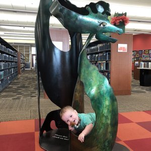 FAYETTEVILLE PUBLIC LIBRARY - 16 Photos & 16 Reviews - Libraries - 401 ...