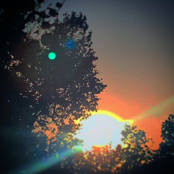 SOUTH BON VIEW PARK - Updated September 2025 - 46 Photos - 2033 S Bon ...