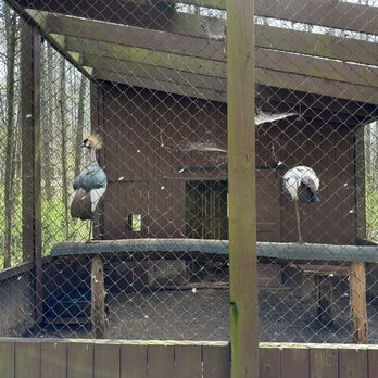 CAROLINA RAPTOR CENTER - Updated December 2025 - 178 Photos & 80 ...