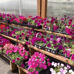 North 40 Outfitters Reviews | Read Customer Service Reviews of north40.com