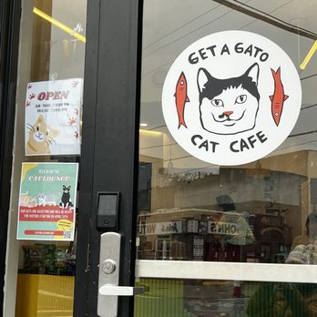 GET A GATO - Updated April 2025 - 113 Photos & 15 Reviews - 638 ...