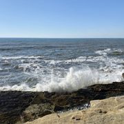 POINT LOMA TIDE POOLS - 841 Photos & 129 Reviews - Gatchell Rd, San ...