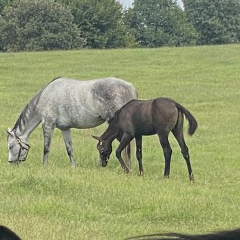 MILL RIDGE FARM - Updated July 2025 - 73 Photos & 16 Reviews - 2800 ...