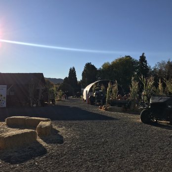 THOMPSON’S FARM MARKET - Updated December 2025 - 137 Photos & 24 ...