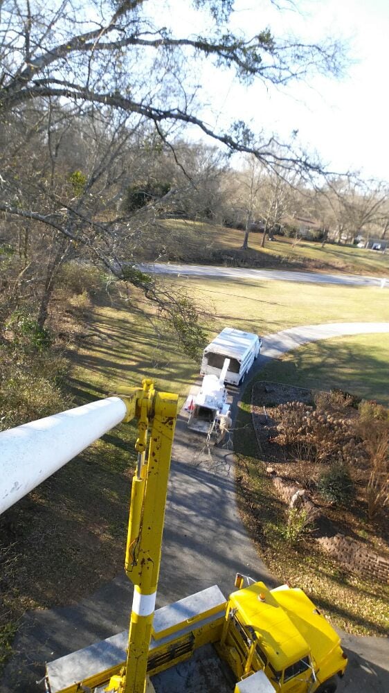 CAMPBELL’S TREE SERVICE - Updated August 2025 - 171 Jett Roberts Rd ...