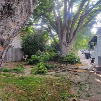 ENVIRONMENTAL TREE SERVICE - Updated November 2024 - 176 Photos & 166 ...