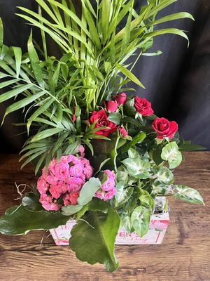 VICTORIA’S FLOWERS - Updated July 2024 - 59 Photos & 27 Reviews - 606 ...