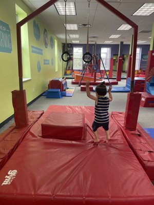 THE LITTLE GYM OF BAY RIDGE-BENSONHURST - Updated June 2026 - 56 Photos ...