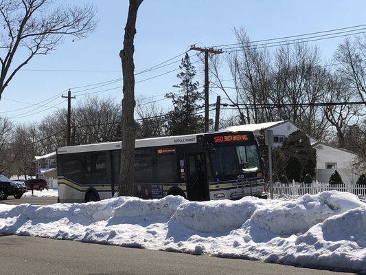 SUFFOLK COUNTY TRANSIT - Updated December 2025 - 22 Reviews - 335 ...