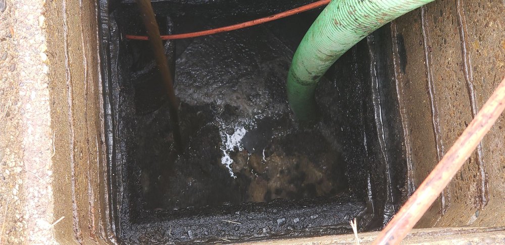 LIL STINKY ENVIRONMENTAL SERVICE - Updated April 2025 - 16 Photos & 24 ...