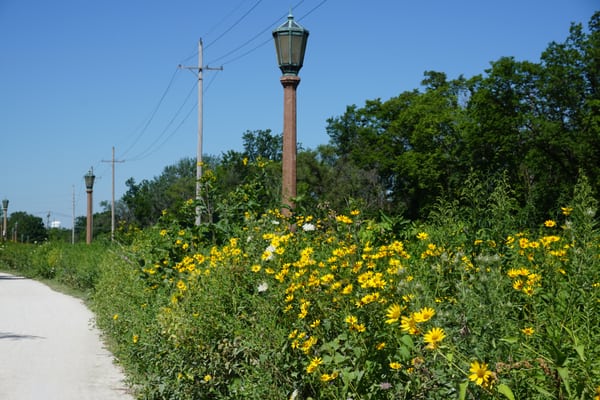 ILLINOIS PRAIRIE PATH - 26 Photos & 36 Reviews - 616 Delles Rd, Wheaton ...