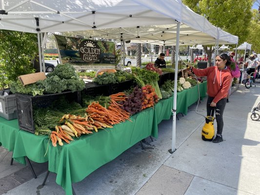 MISSION VALLEY FARMERS MARKET - 365 Photos & 13 Reviews - 7964 Civita ...