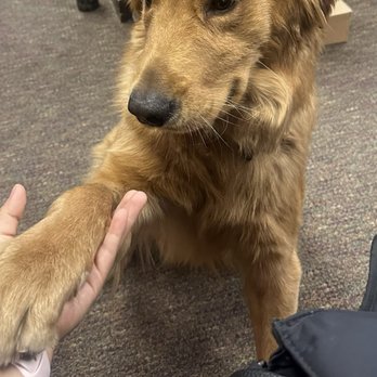 SANDRIDGE POST ACUTE - Updated December 2025 - 10 Reviews - 255 West ...