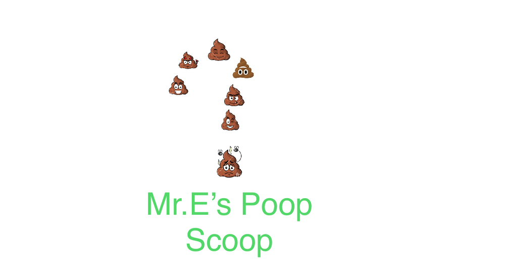 MR E’S POOP SCOOP - Updated August 2024 - Warren, Michigan - Pet Waste ...