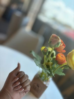 KALOS & MUSE - Updated December 2025 - 131 Photos & 48 Reviews - 101 S ...