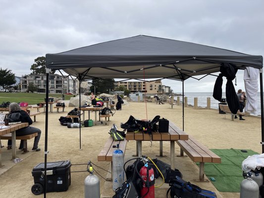 BAY AREA SCHOOL OF DIVING - Updated January 2026 - 42 Photos & 57 ...