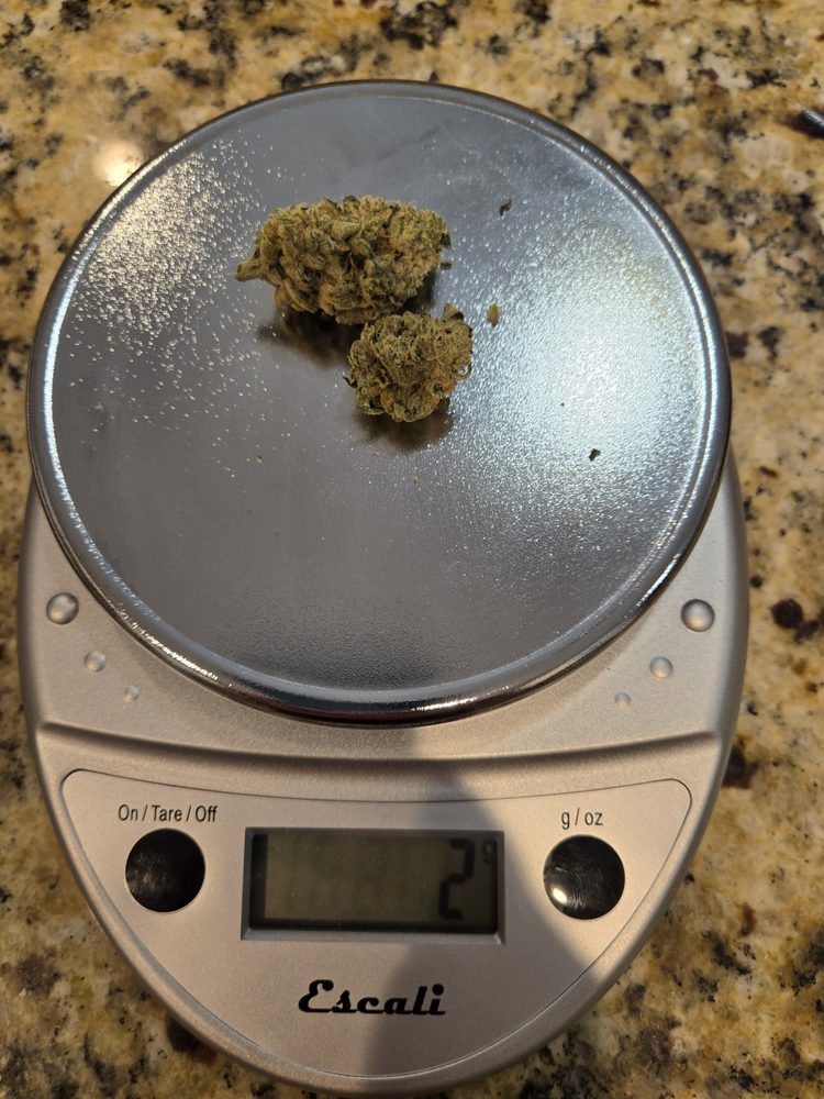 GLEAF - Updated December 2025 - 32 Reviews - 2804 Decatur St, Richmond ...